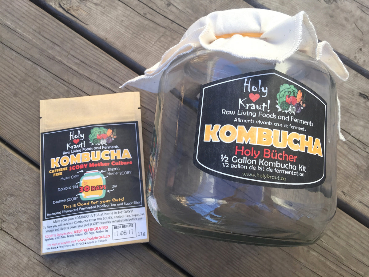 Caffeine FREE SCOBY - Dehydrated – Holykraut