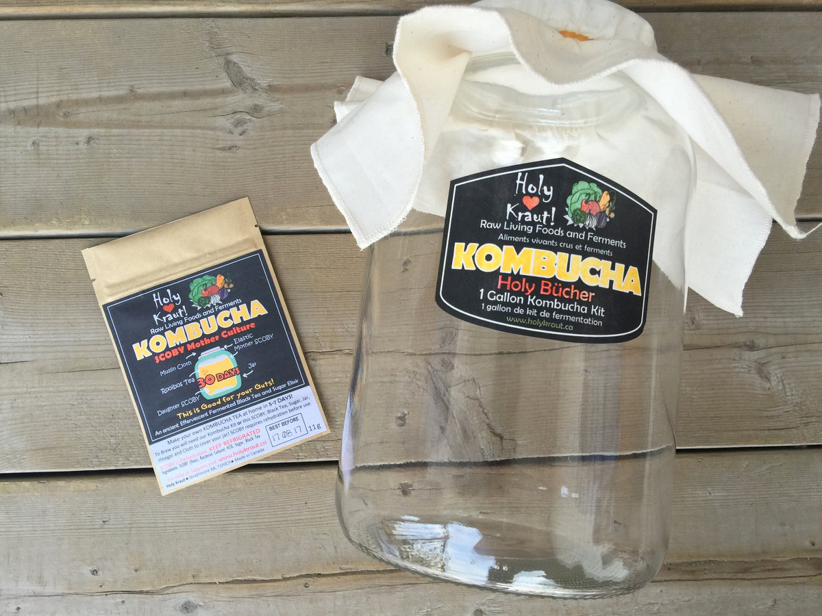 Classic SCOBY - Dehydrated – Holykraut